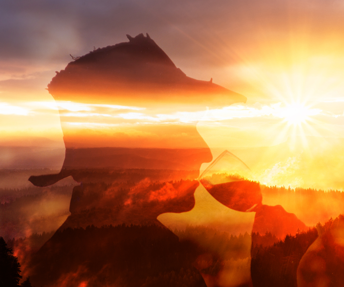 Western Rivers Run 6 pack - Riversands Wines